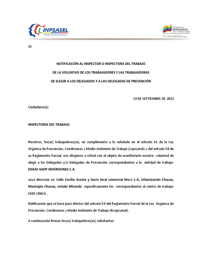 Anexo 1 Formato | PDF