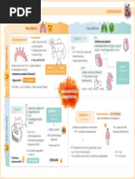 Fisiología y Anatomía Quirúrgicadela Arteria Mamaria Interna | PDF ...