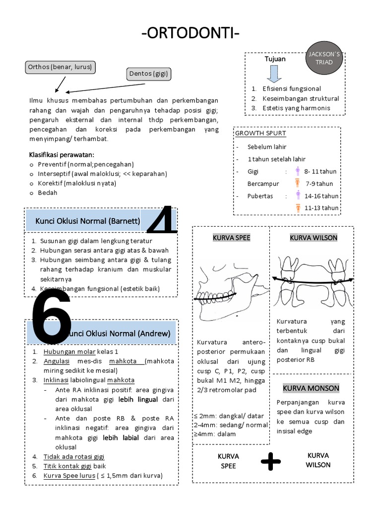 All About Orto | PDF