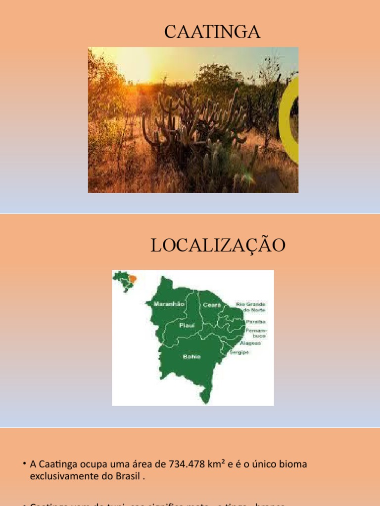 CAATINGA | PDF