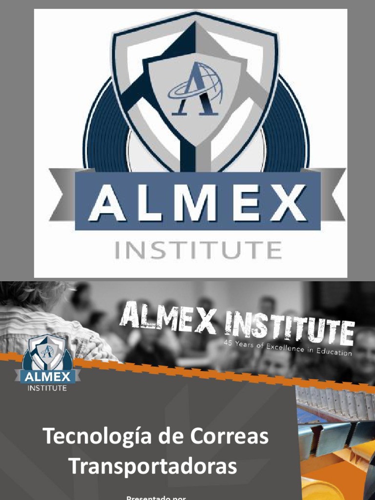ALMEX | PDF | Materiales | Química