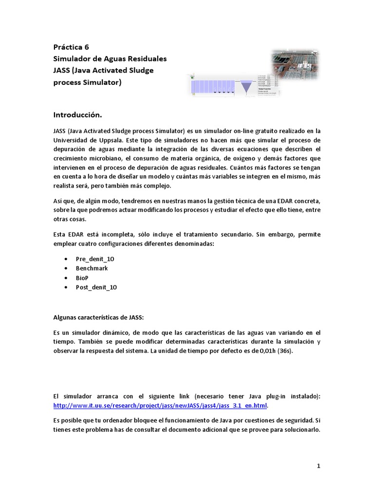 Practica 5 Simulador Jass | PDF | Nitrato | Química