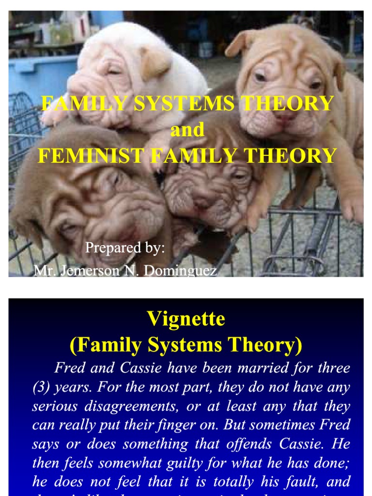 Strategic Family System | PDF | Family Therapy | Feminism