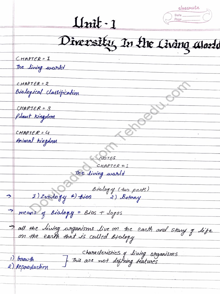 Chapter 1 Notes Class 11 | PDF