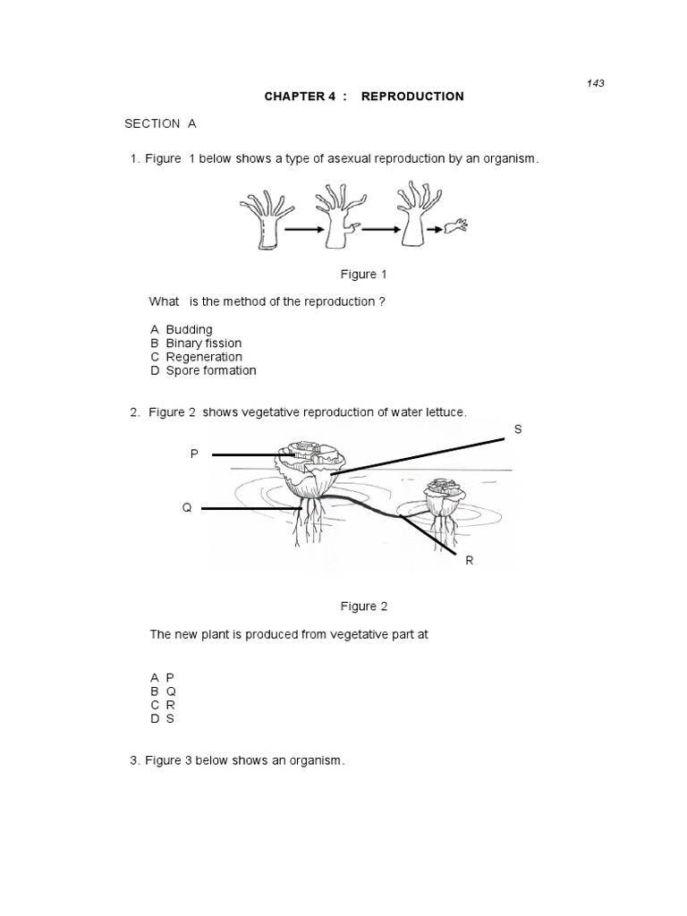 Chapter 4 (Reproduction) F1 | PDF | Fertilisation | Sexual Reproduction