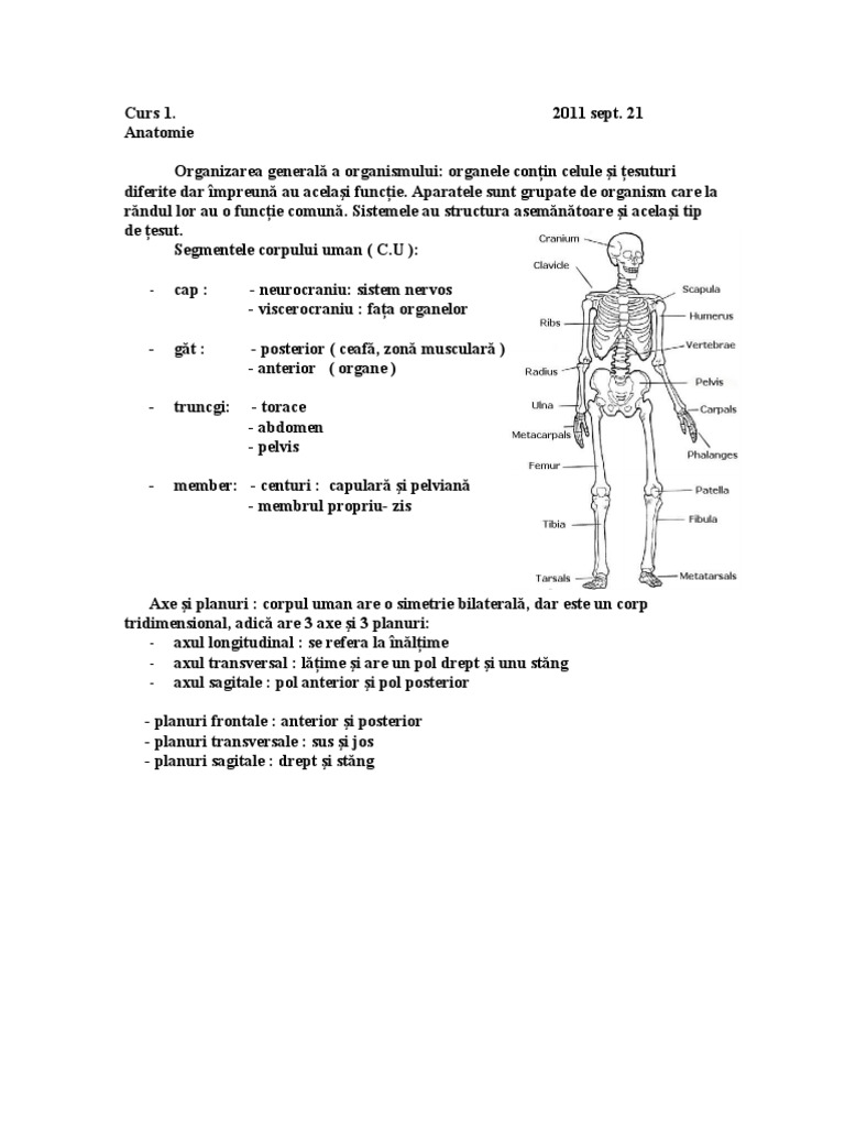 Anatomia și Structura Celulei Umane | PDF | Science & Mathematics