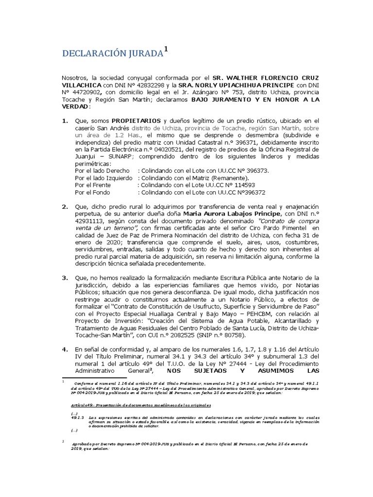 Declaración Jurada | PDF | Ley común | Justicia