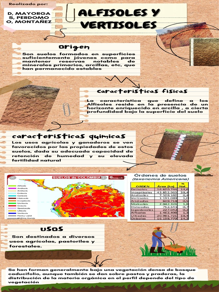 Alfisoles y Vertisoles | PDF | Suelo | Geografía Física
