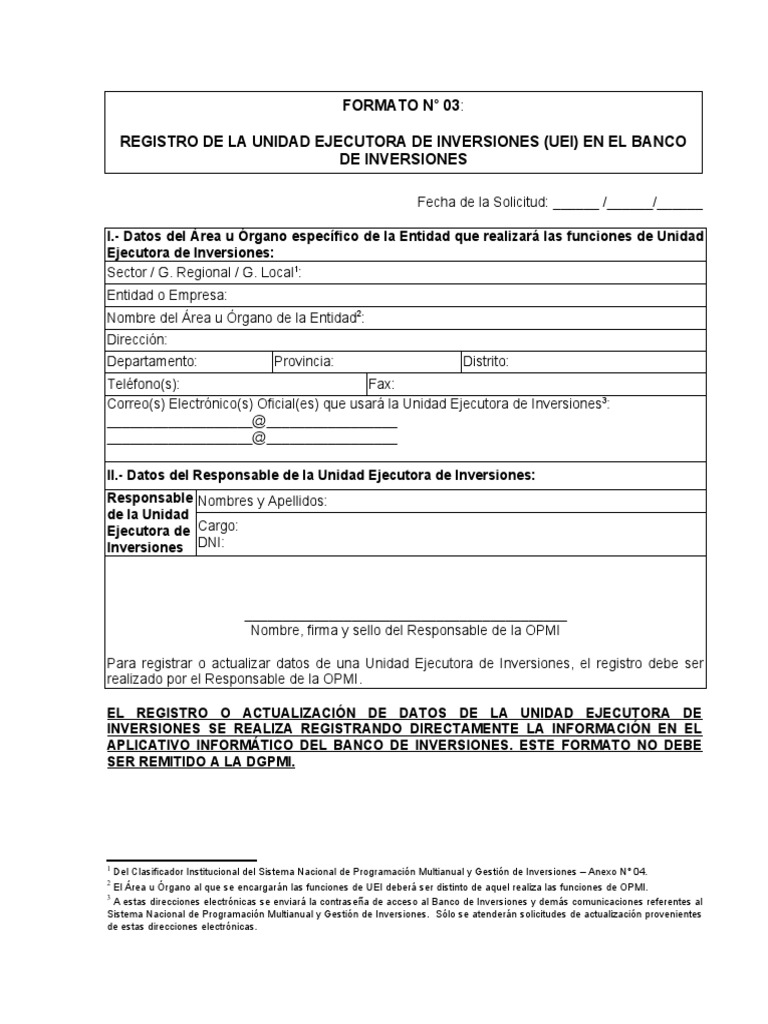 Formato 3 - Registro de La Unidad Ejecutora de Inversiones (Uei) en El Banco de Inversiones | PDF