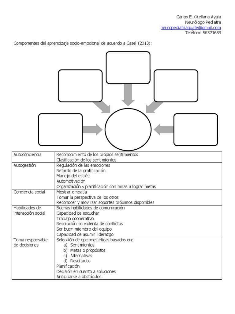 Aprendizaje Socio Emocional | PDF
