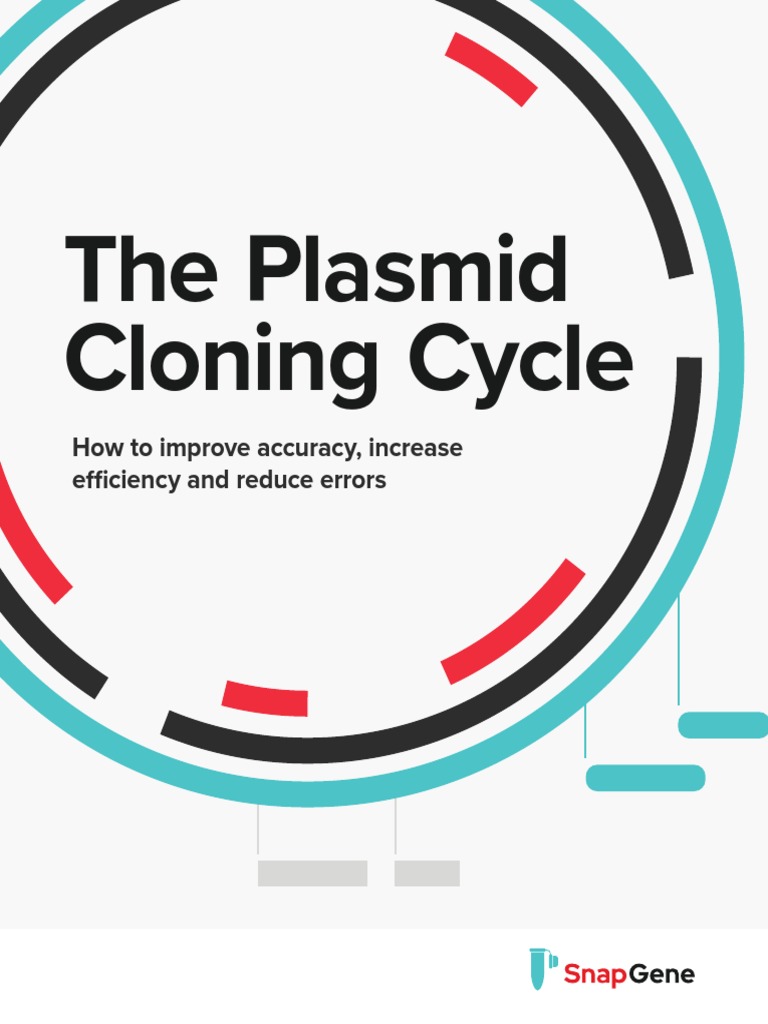 SnapGene The Plasmid Cloning Cycle Ebook | PDF | Molecular Cloning ...