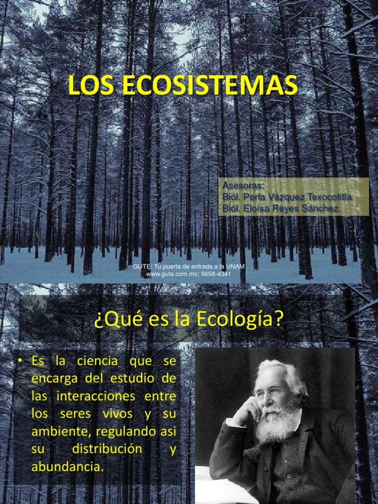6 Los Ecosistemas (EP) | PDF | Red alimentaria | Ecología