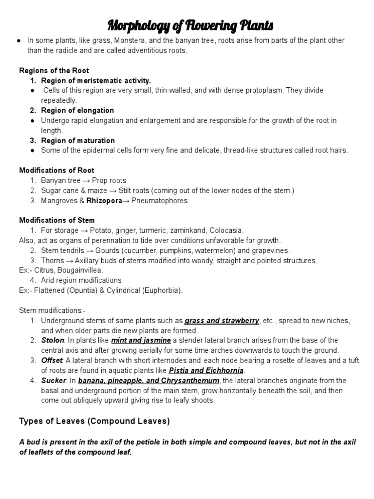Morphology of Flowering Plants | PDF | Seed | Flowers