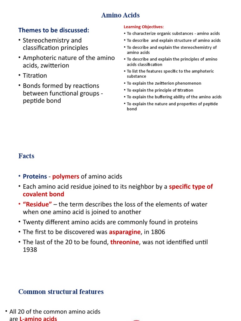 Understanding Amino Acids: Structure & Properties | PDF | Amino Acid ...