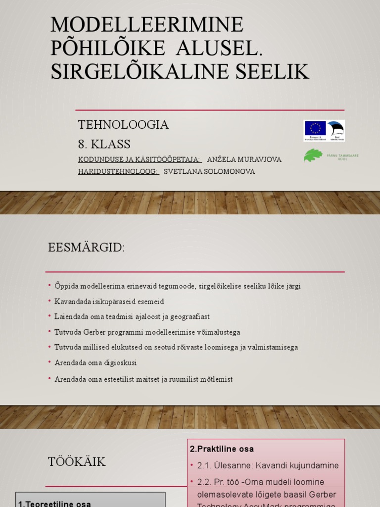 Modelleerimine Seelik Esitlus 1 | PDF