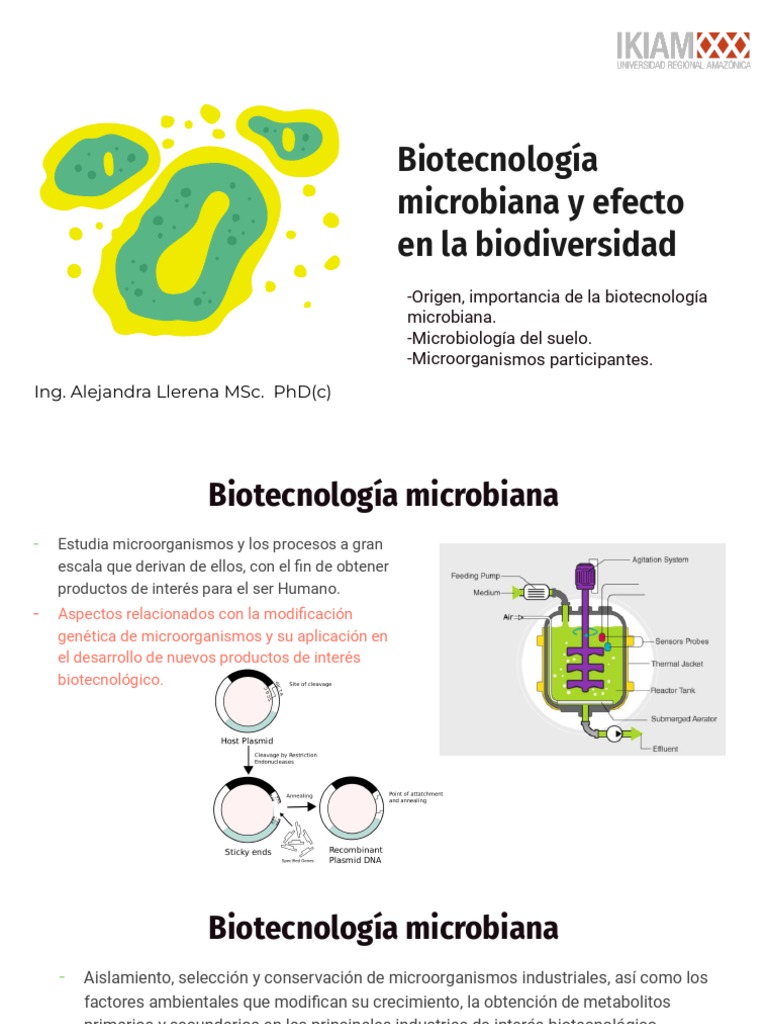 Biotecnología Microbiana y Efecto en La Biodiversidad | PDF | Suelo | Las bacterias