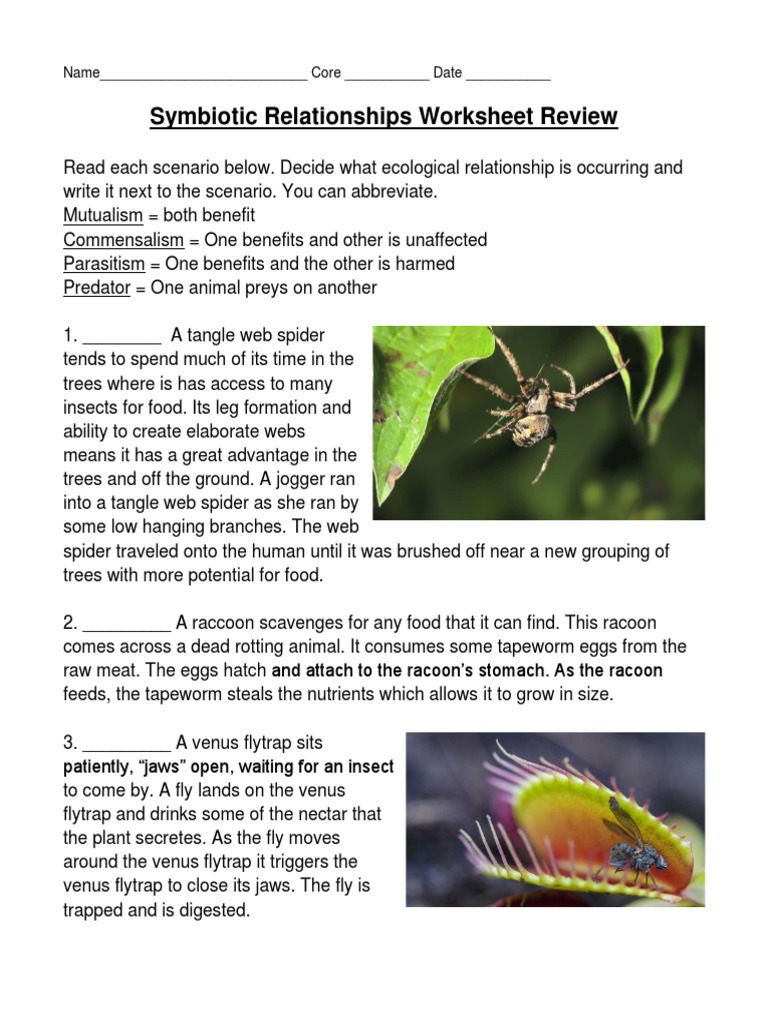 Symbiotic Relationships Worksheet Review: Name - Core - Date | PDF ...