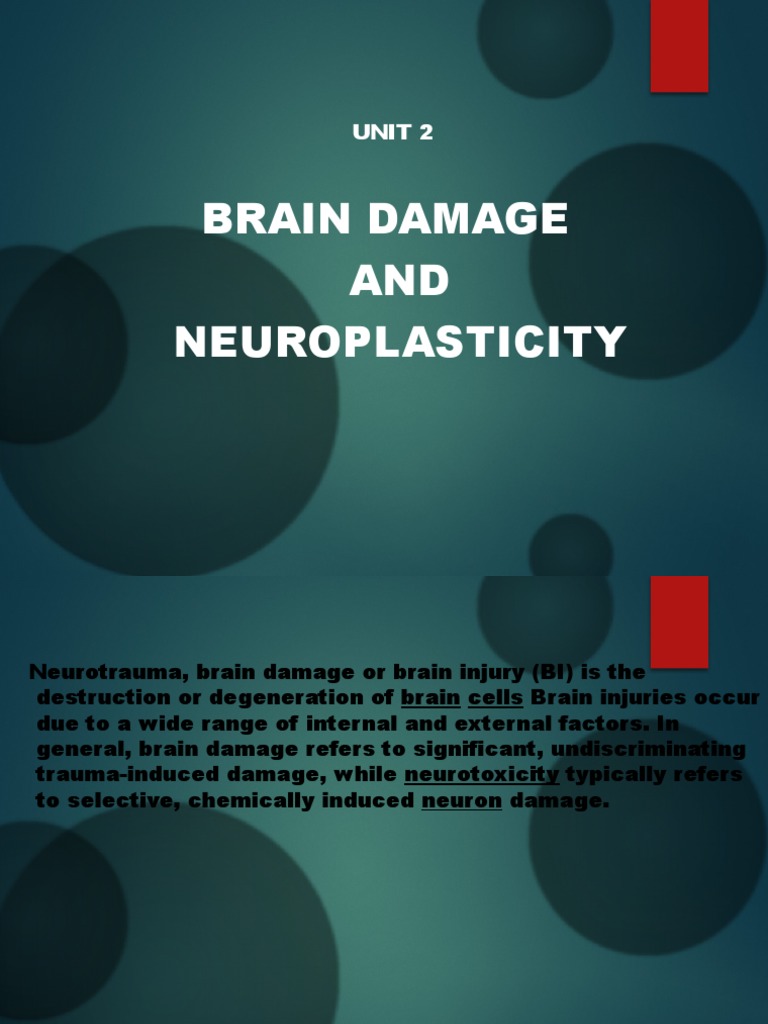 Brain Damage and Neuroplasticity | PDF | Traumatic Brain Injury ...