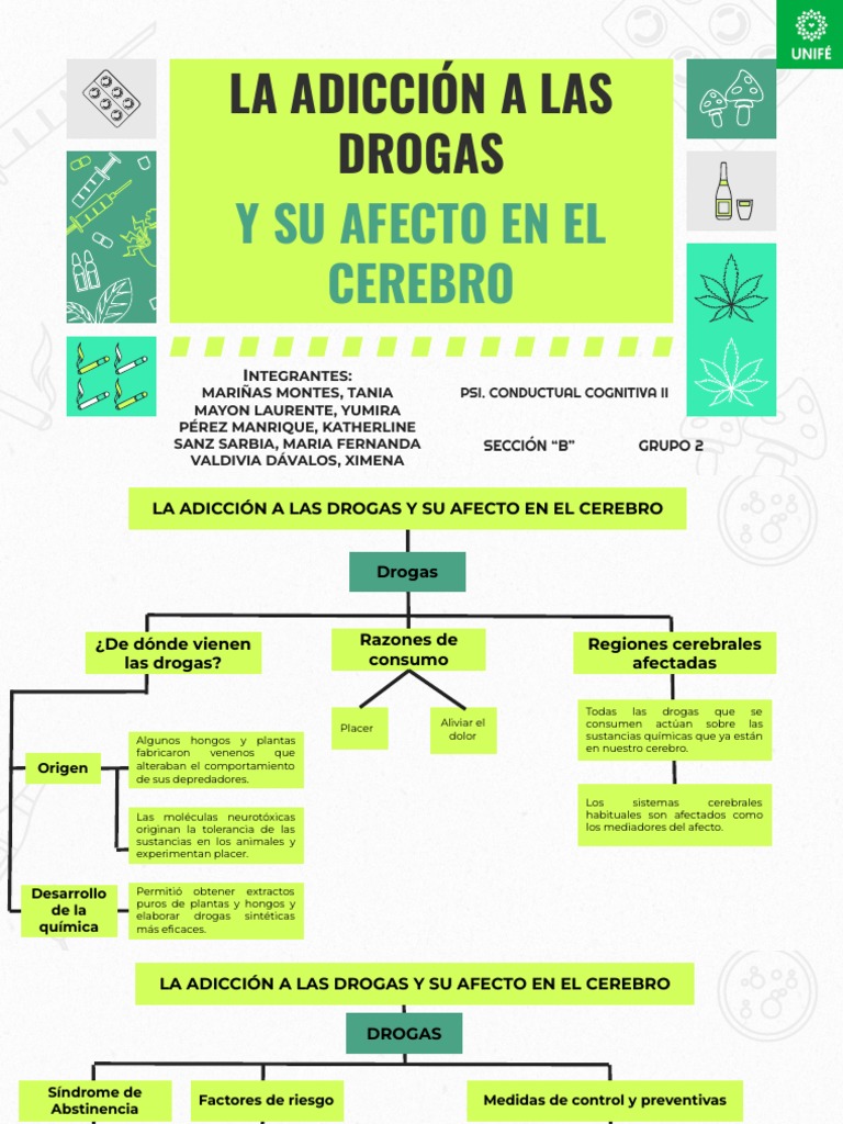 Adicción a Drogas y Cerebro | PDF | La dependencia de sustancias | Cerebro