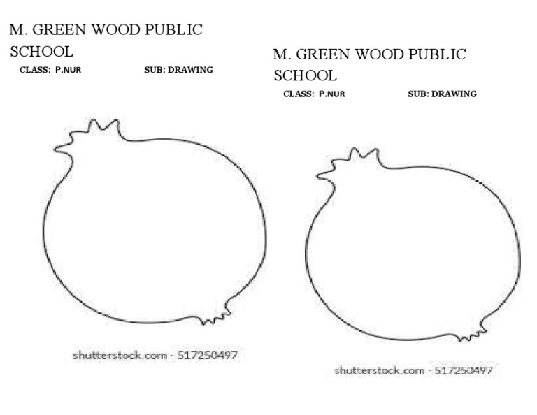 P.nur Drawing | PDF