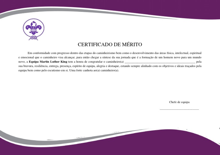 Certificado de Mérito | PDF