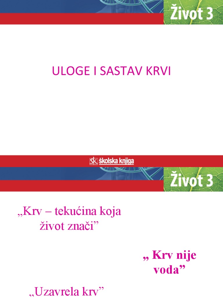 SK 3 Uloge I Sastav Krvi | PDF