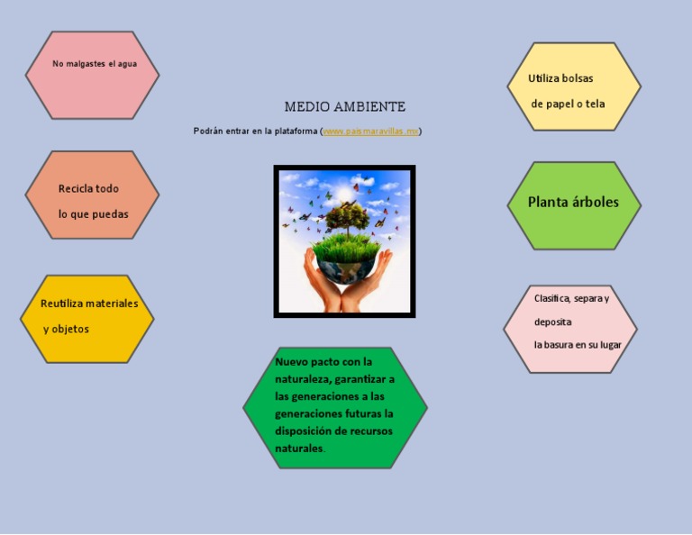 Infografia Medio Ambiente | PDF