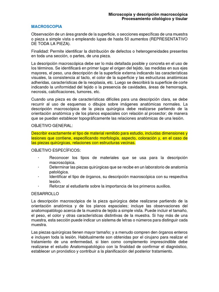 Macroscopia y Descripción Macroscópica | PDF | Piel | Cirugía