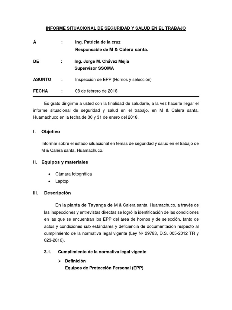 Informe Situacional de Seguridad y Salud en El Trabajo Epp | PDF