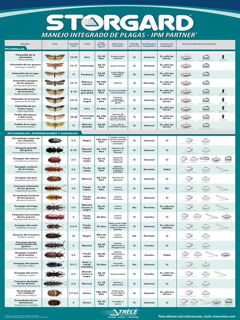 Insect Poster | PDF | Insectos | Cereales