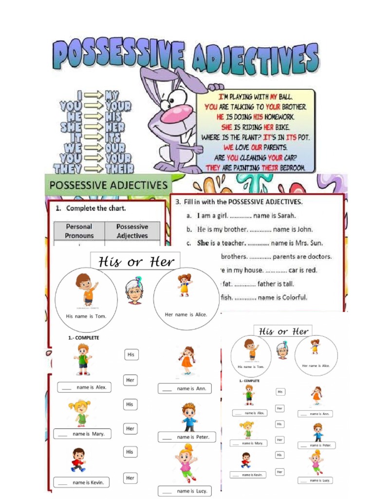 Adjetivos Posesivos | PDF