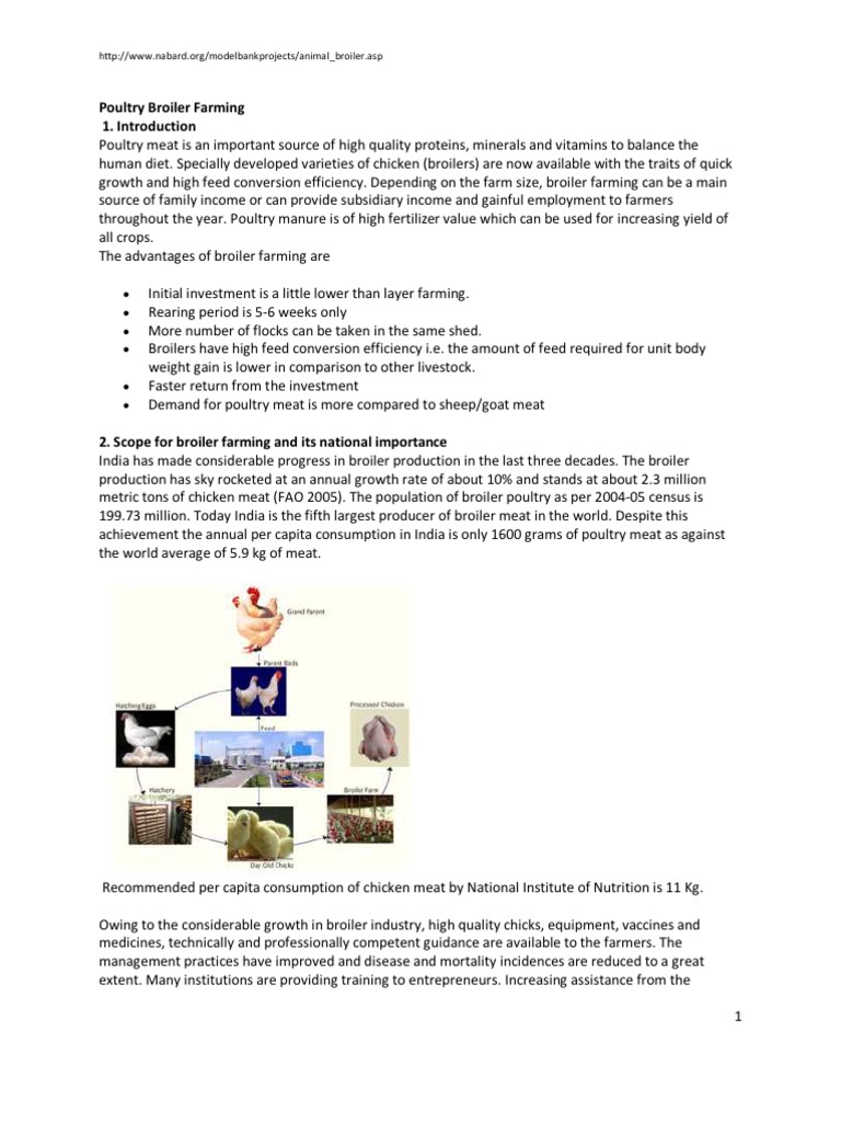 NABARD Poultry Broiler Project Report | PDF | Meat | Broiler