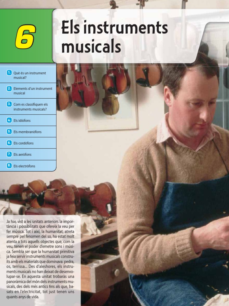 Els Instruments Musicals: Què És Un Instrument Musical? | PDF