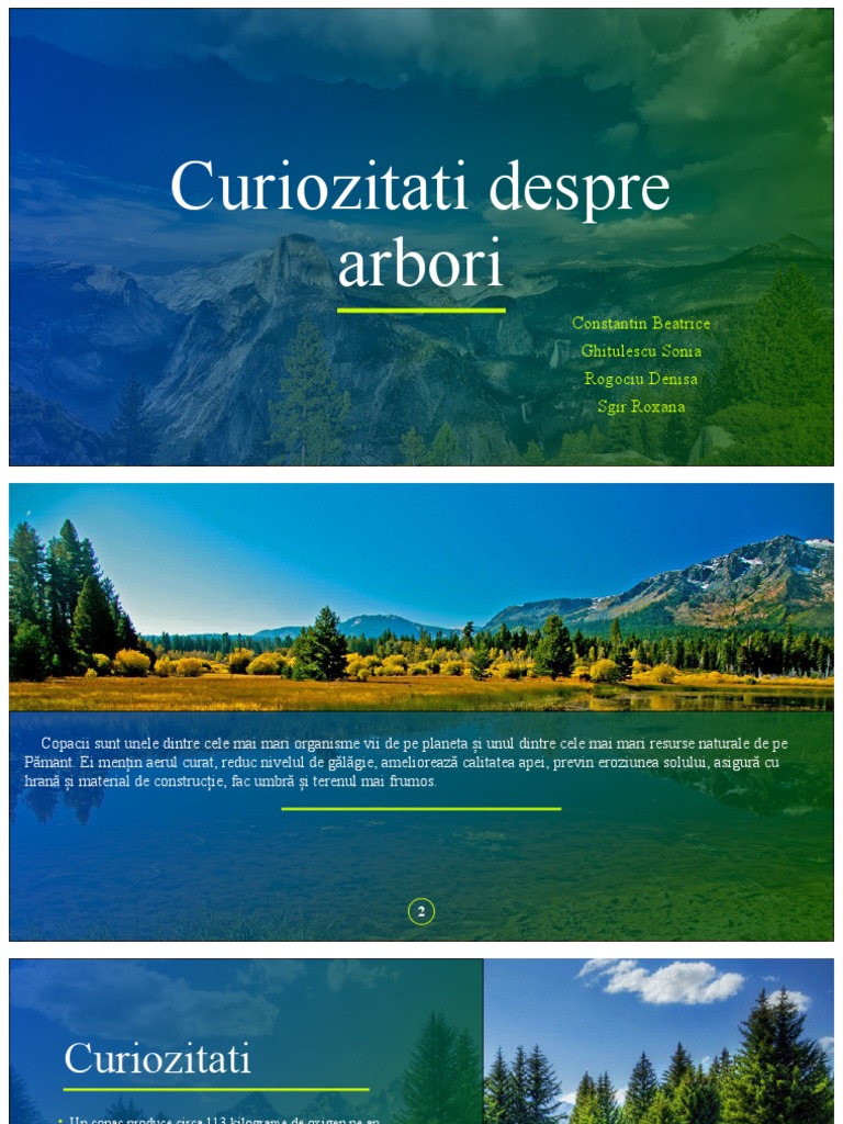 Curiozitati Despre Arbori | PDF