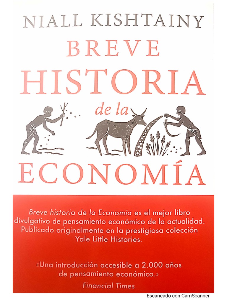 Por El Desagu e Una Breve Historia de La Gran Depresio N de 1929 1934 Niall Kishtainy | PDF