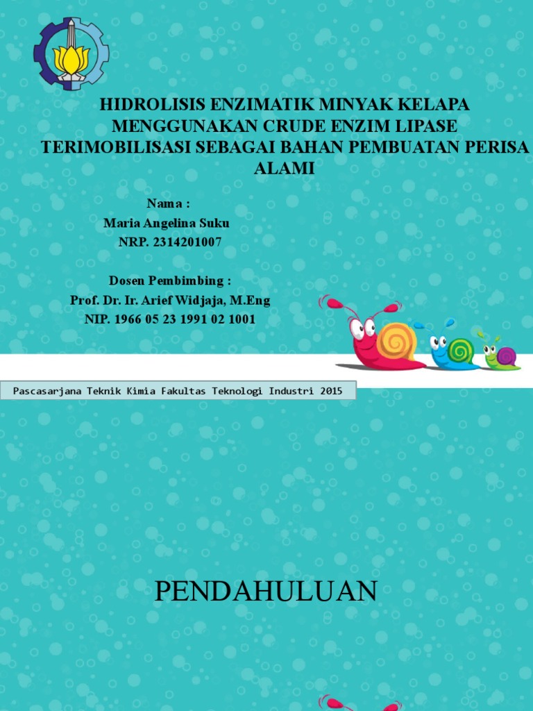 Proposal Maria Fix | PDF