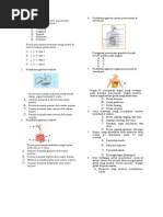 Terminologi Dasar Kedokteran | PDF