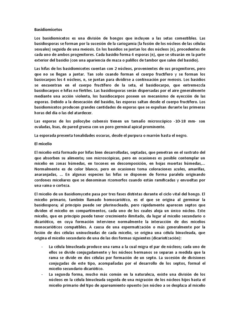 Basidiomicetos: Estructura y Ciclo Vital | PDF | Hongo | Anatomía