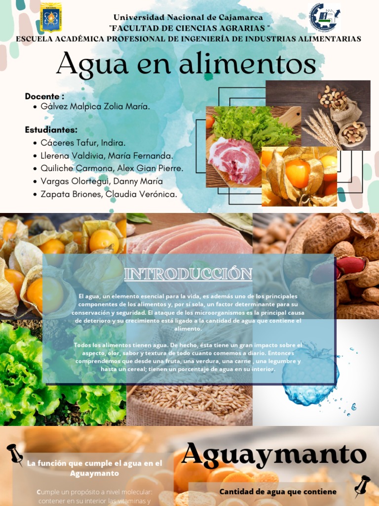 Agua en Alimentos | PDF | Agua | Carne