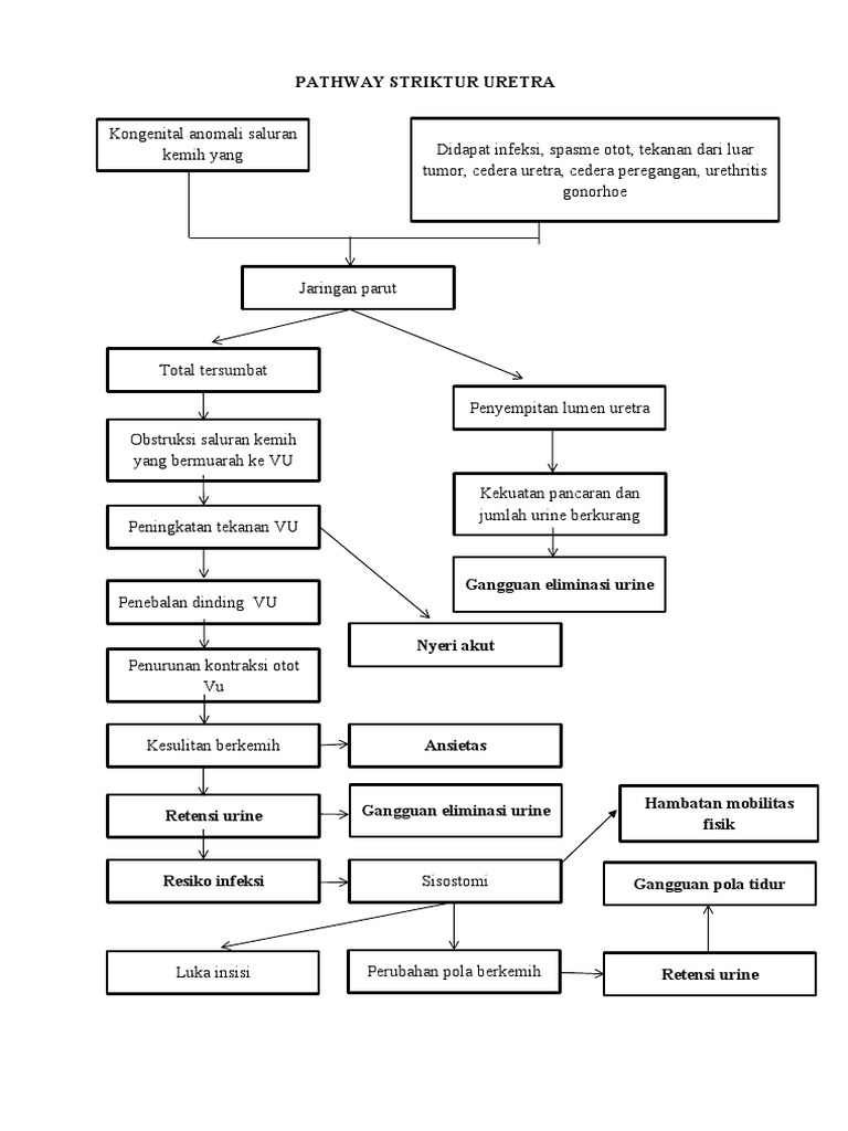 03 Pathway | PDF