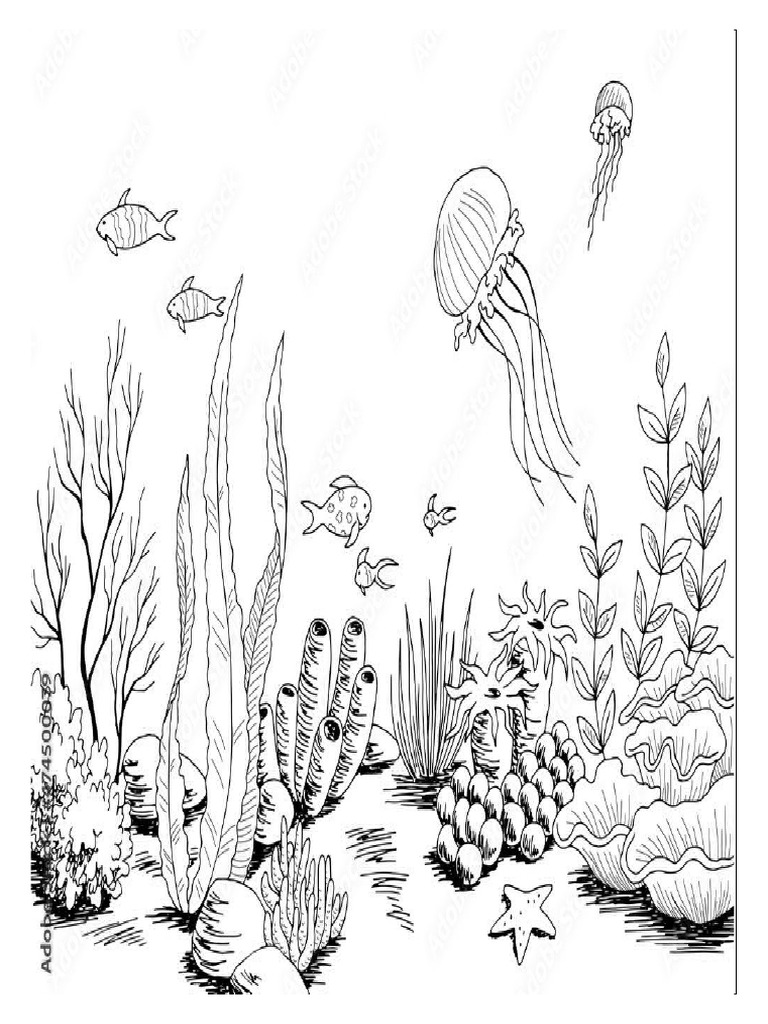Drawing Sea | PDF