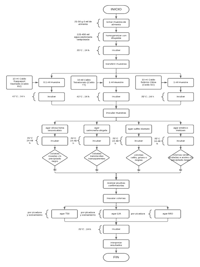Salmonella | PDF | Microbiología