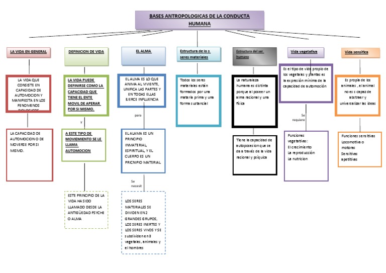 Mapa Mental de Conducta | PDF | Alma | Vida