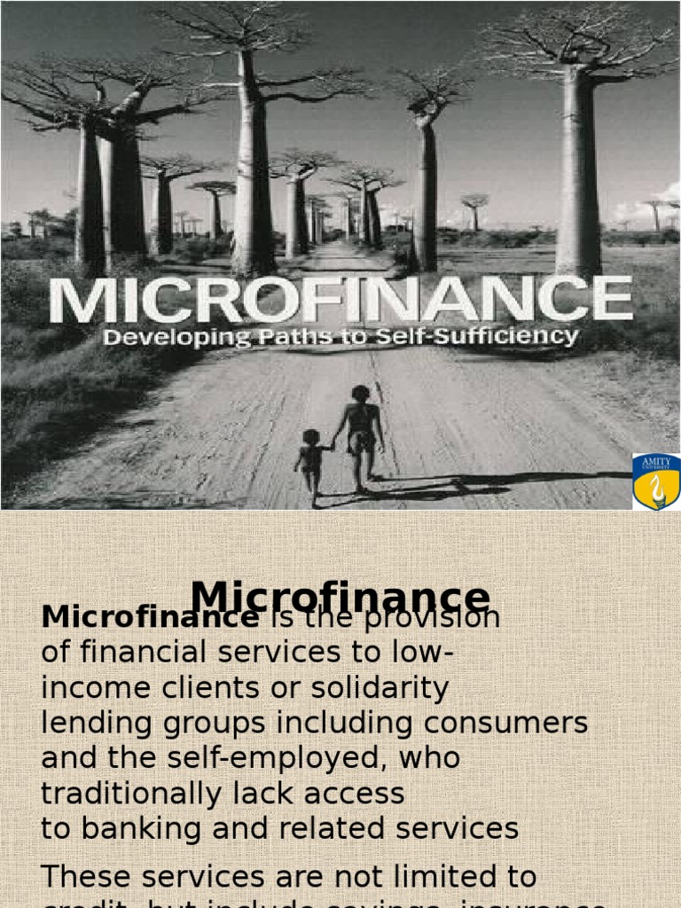 Micro Finance | PDF | Microfinance | Service Industries