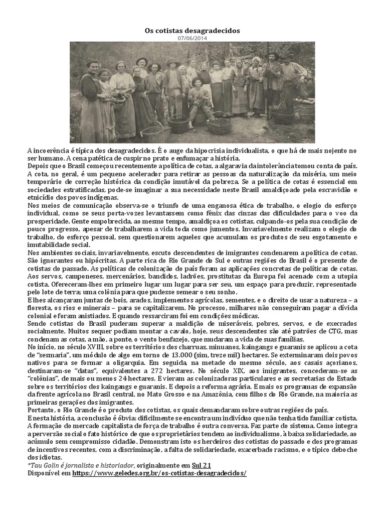 Os Cotistas Desagradecidos Tau Golin | PDF | Brasil