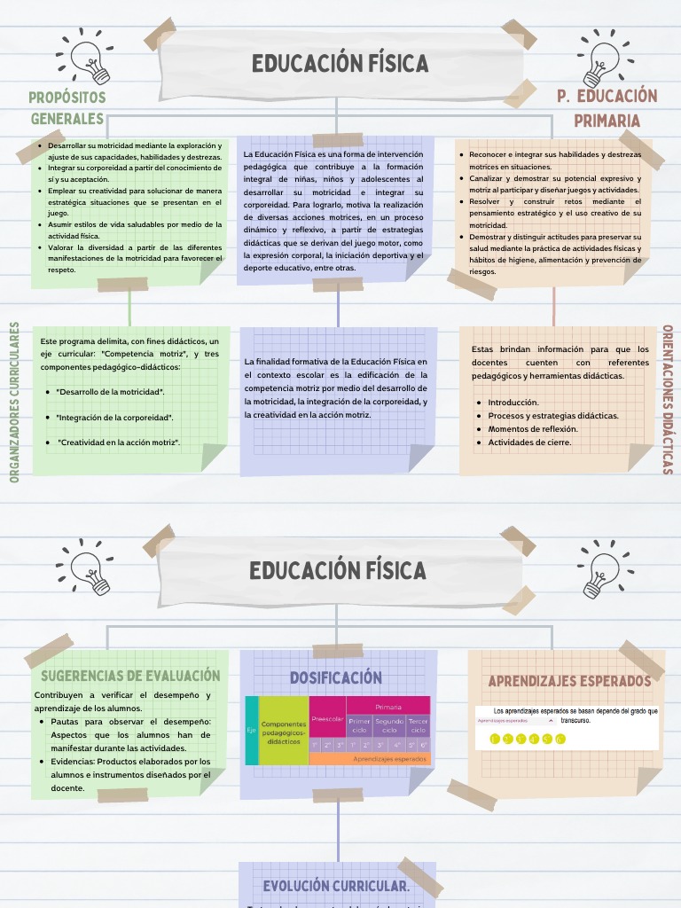 Programa de Educación Física | PDF | Plan de estudios | Educación Física