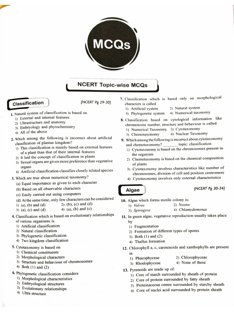 Plant Kingdom Ncert Punch | PDF