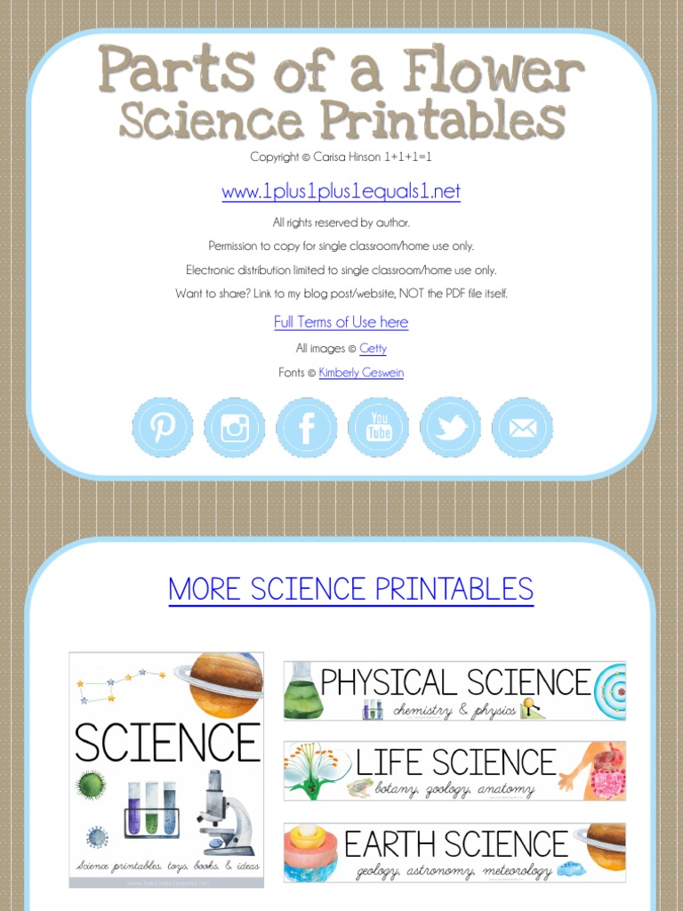Parts of A Flower Science Printables | PDF | Flowers | Botany