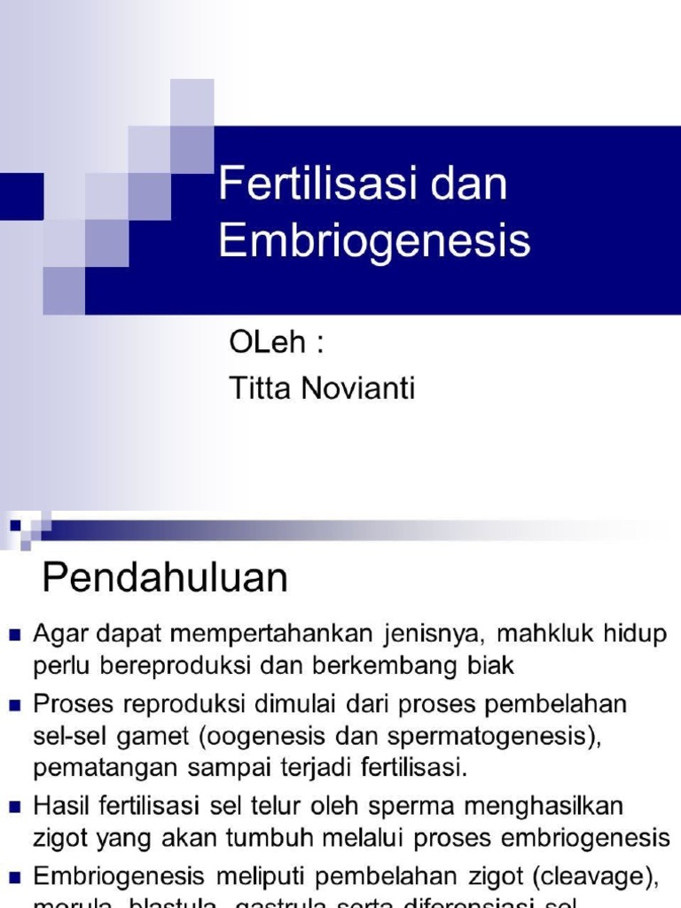Fertilisasi Dan Embriogenesis PPT Download | PDF