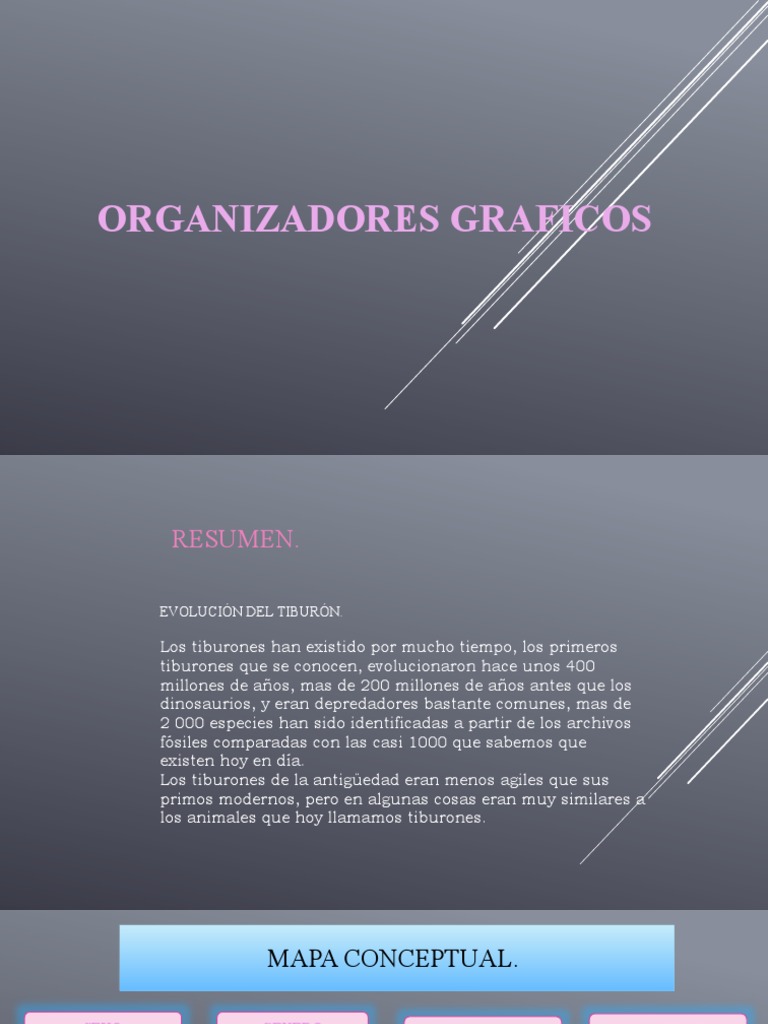 Organizadores Graficos | PDF | Género | Estudios de género